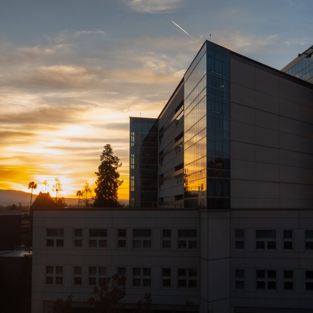 San Jose Fall 2022 | State of Light